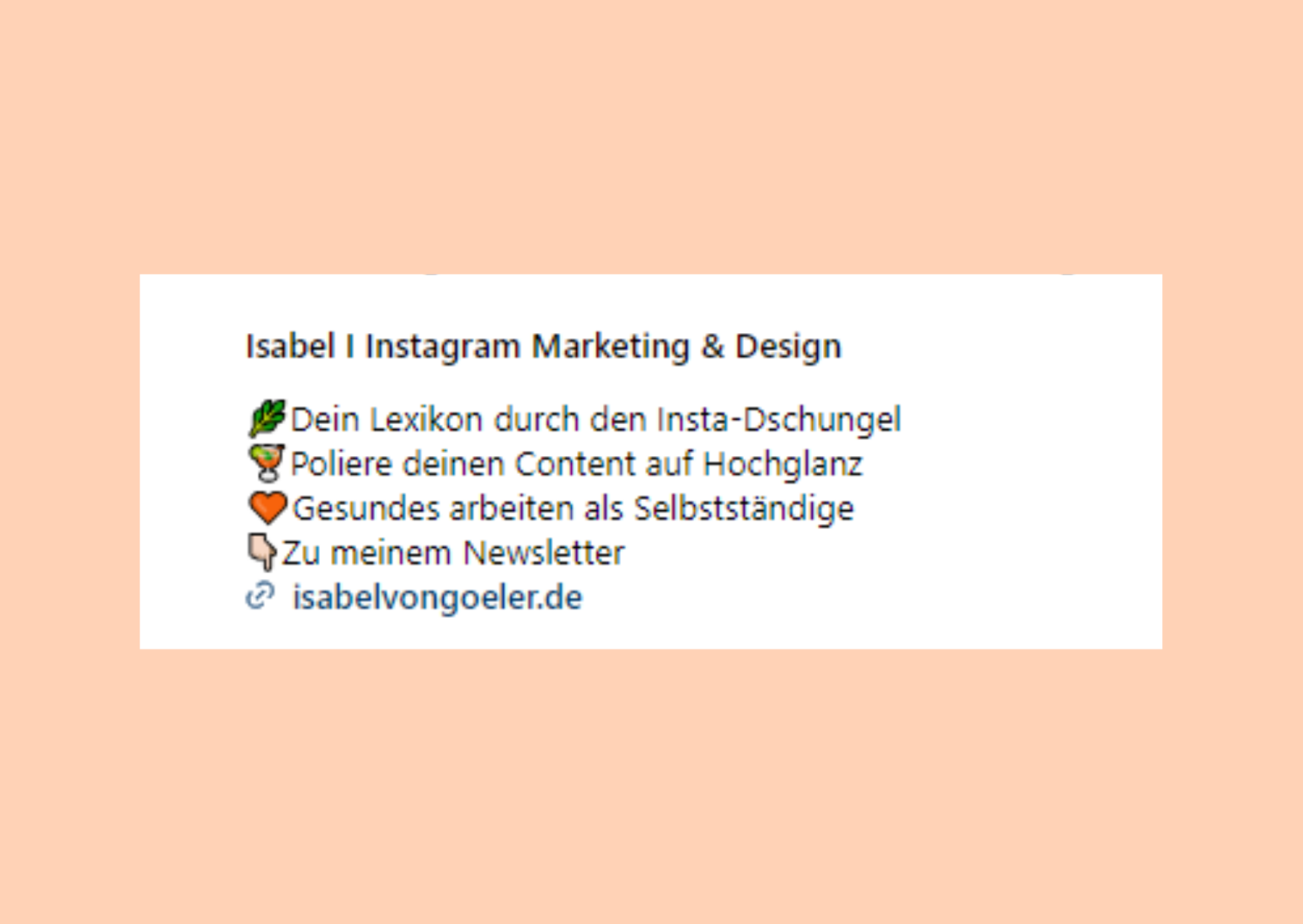 Schreibe die perfekte Instagram Bio und bleibe bei deinen ...